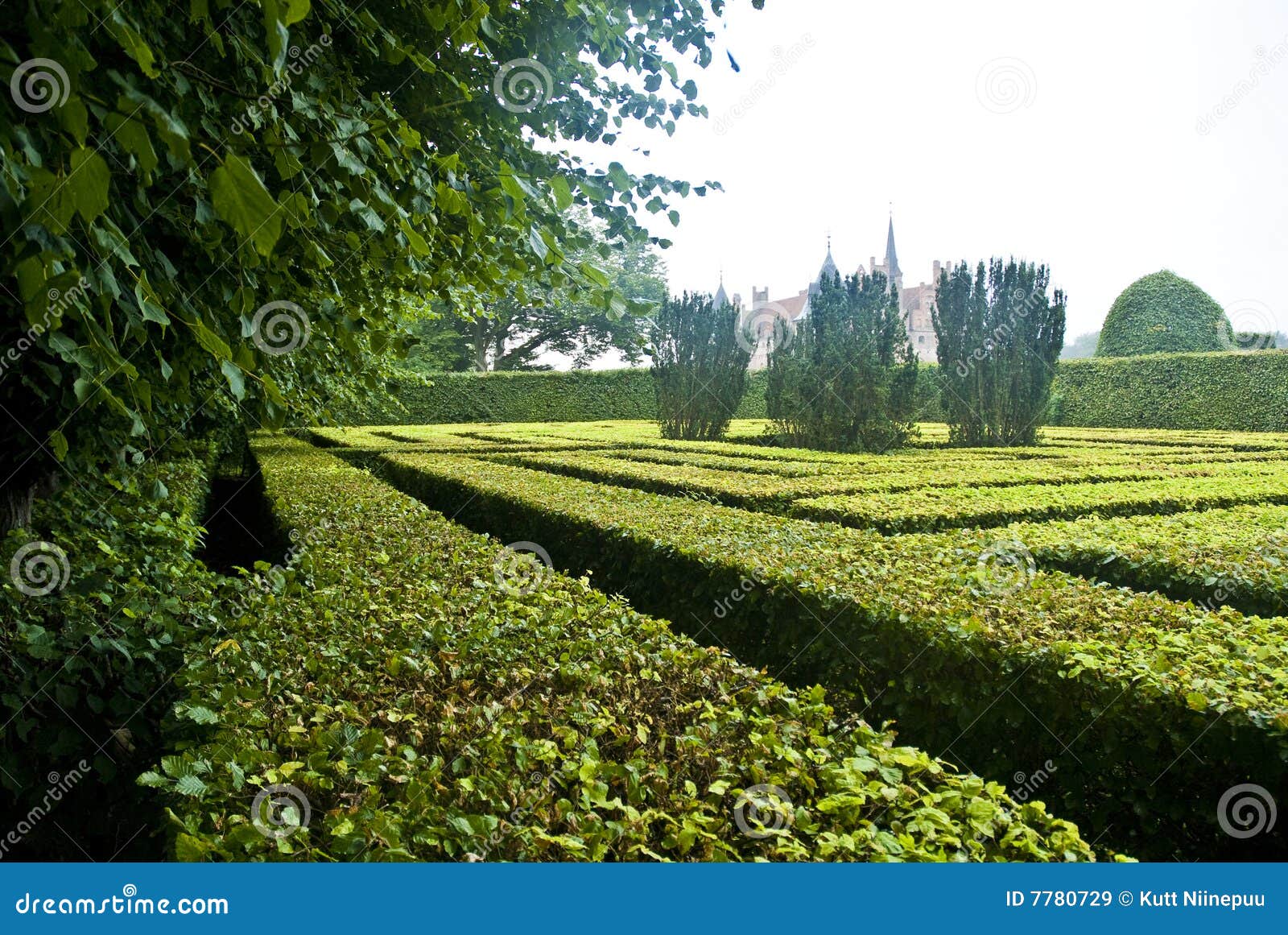 Scenic view of maze stock image. Image of angle, passages - 7780729