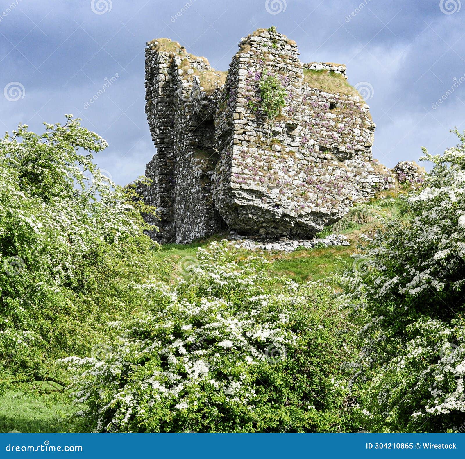 Scenic View of a Medieval Castle Ruin on a Green Hill Stock Image ...