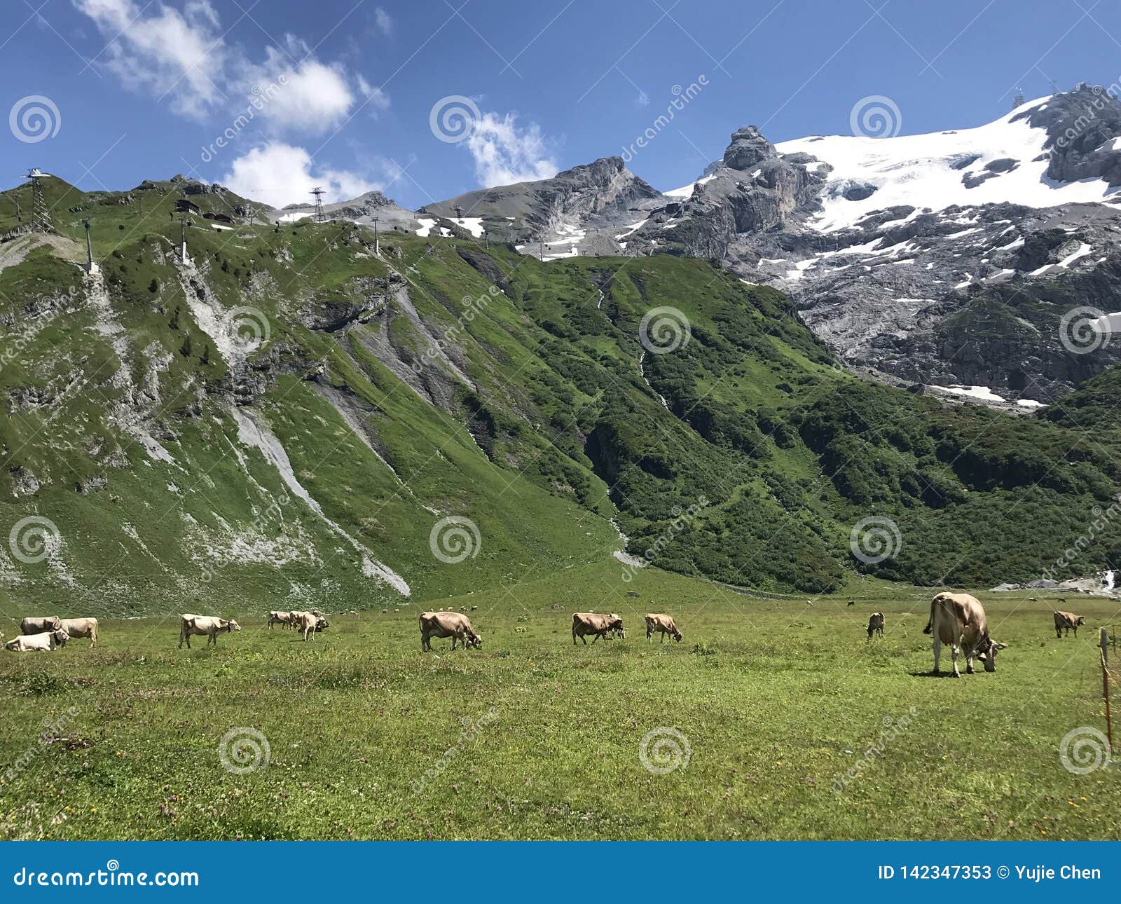Scenic View of Mountain Titlis Stock Image - Image of mountain, field ...
