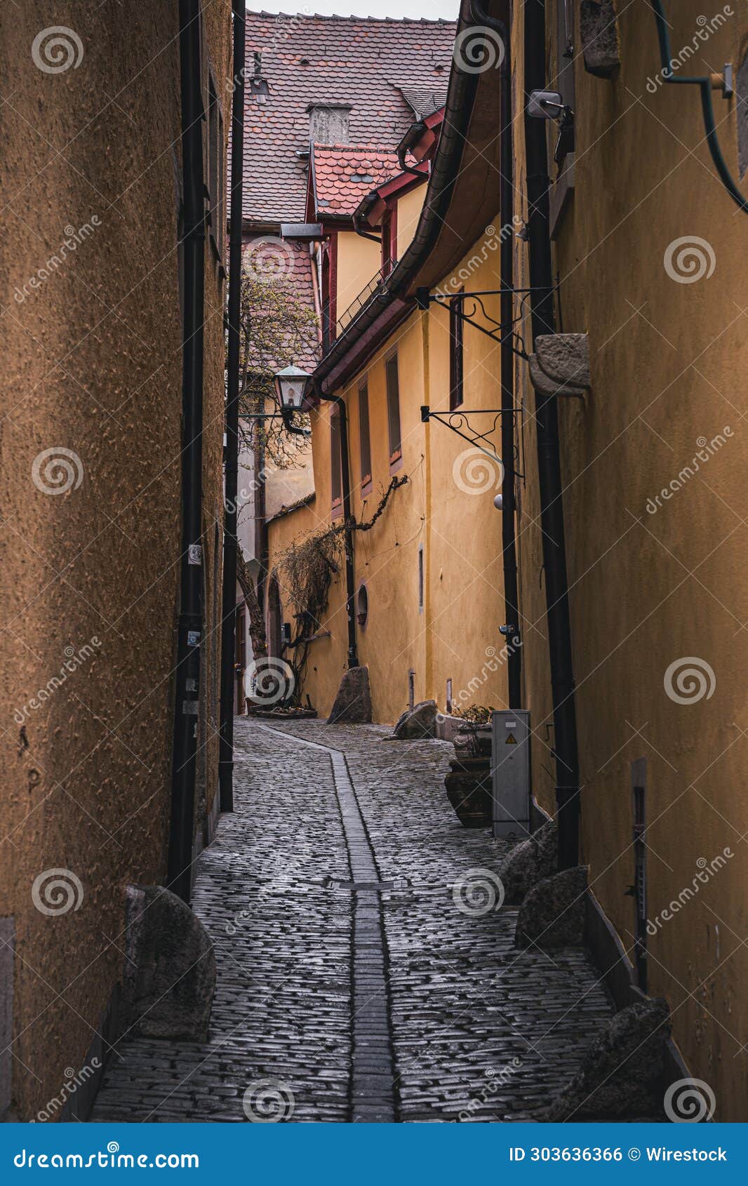 Scenic View of a Narrow Cobblestone Pathway Framed by Two Ancient ...