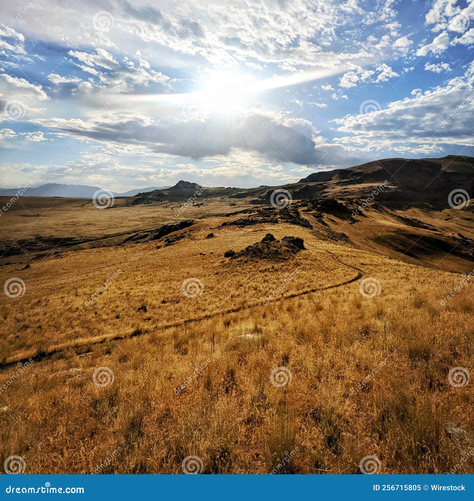 Scenic View of an Open Field with Beautiful Hills and Mountains in the ...