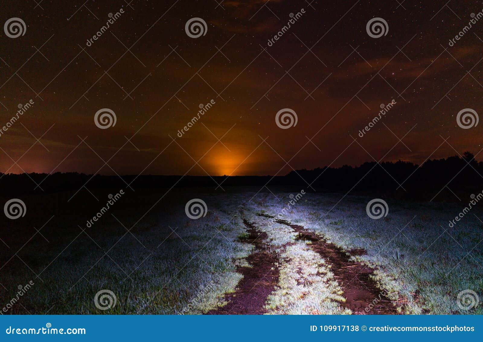 Scenic View Of Open Field During Night Time Picture. Image: 109917138