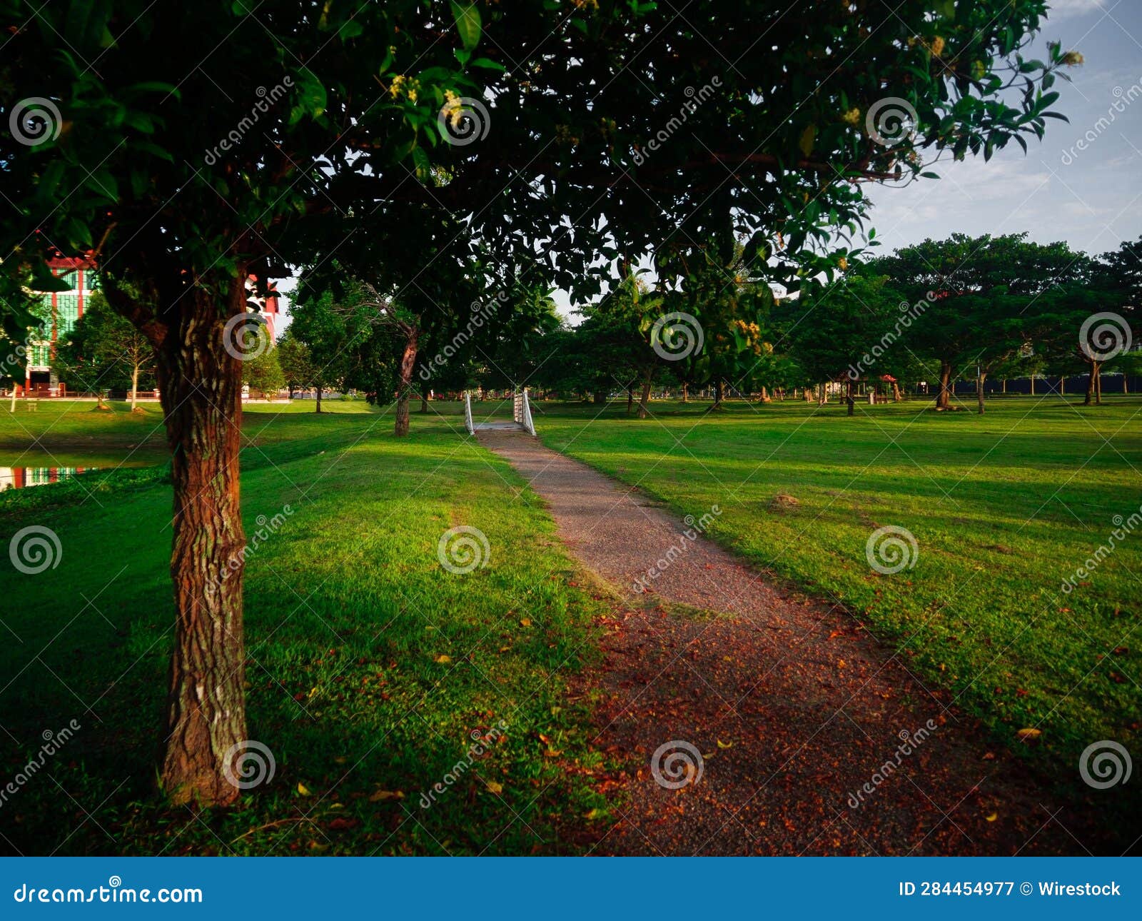 Scenic View of a Park with a Pathway Lined with Trees and Lush Grass ...