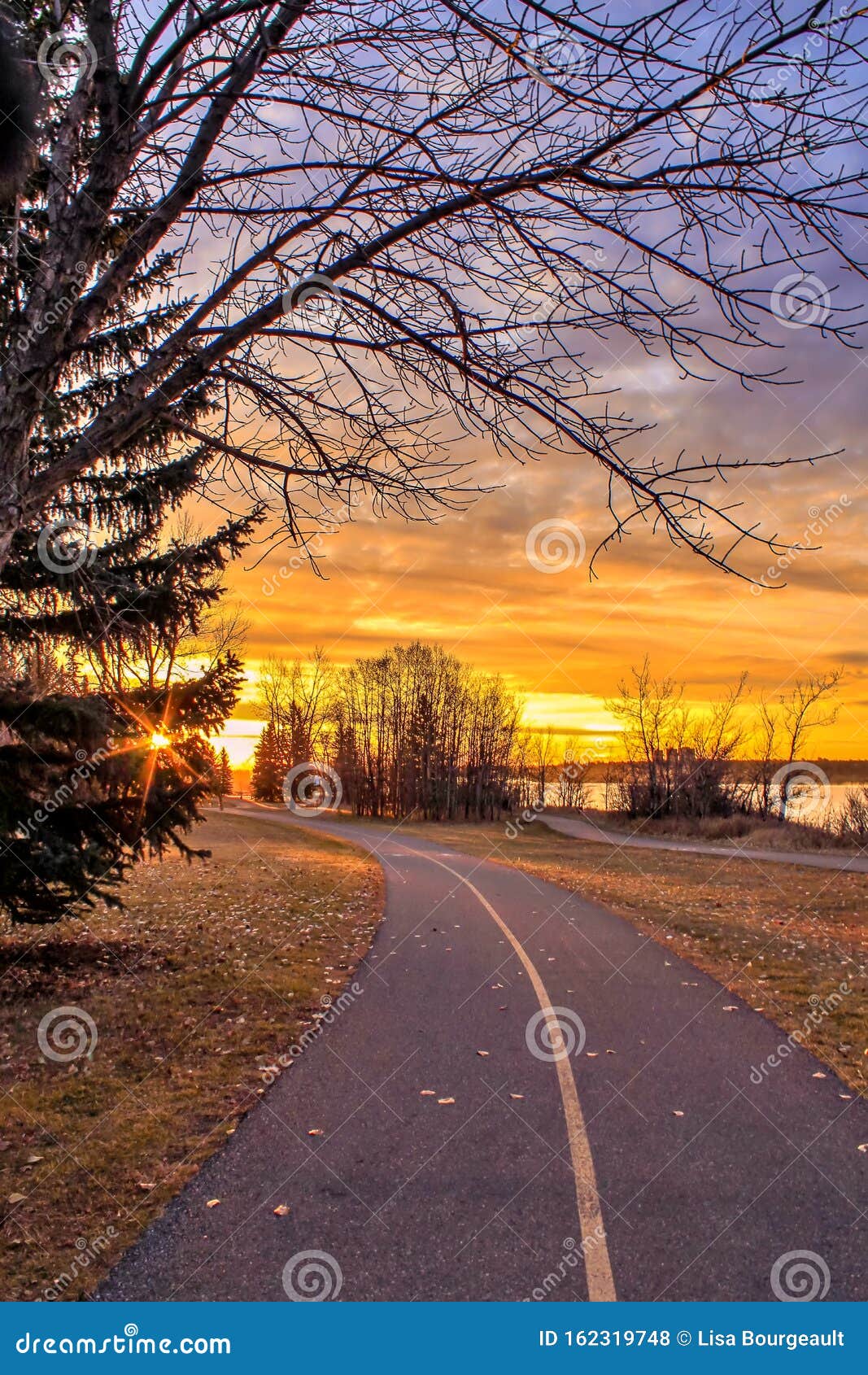 Sunrise Over a Park Pathway Stock Photo - Image of calgary, landscapes ...