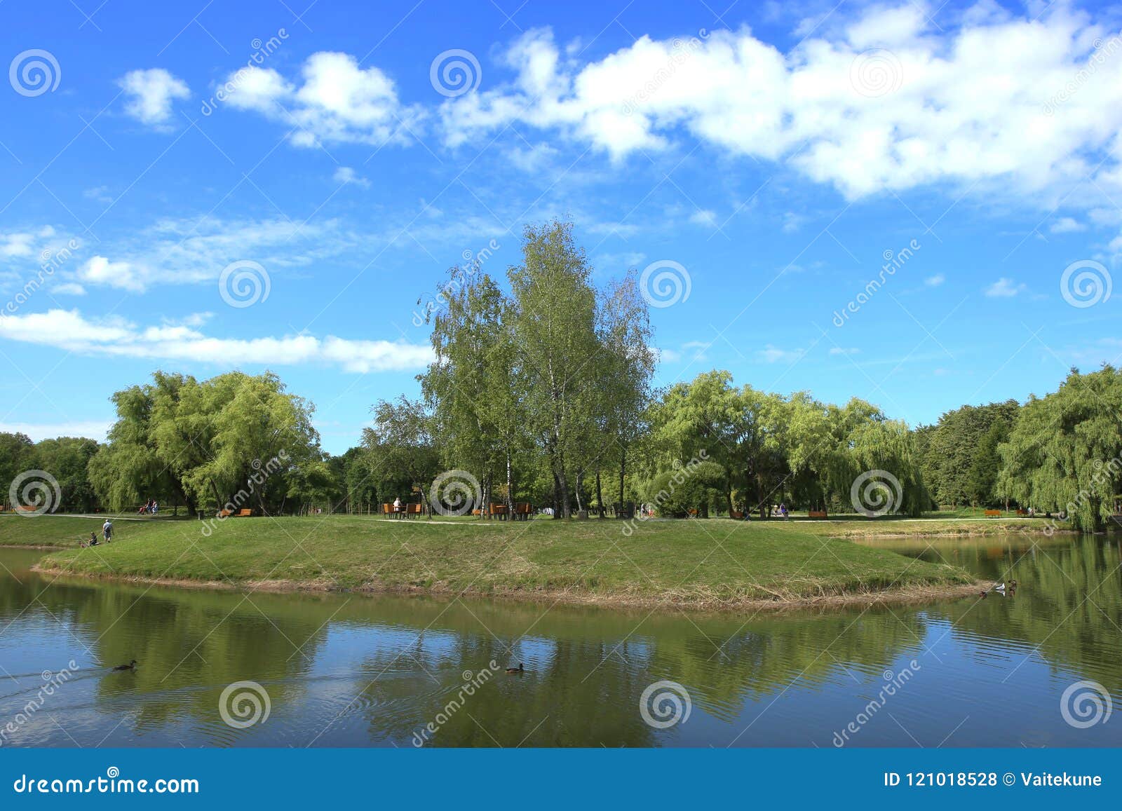 City Public Park Pond in Summer. Stock Photo - Image of leaf, lithuania ...