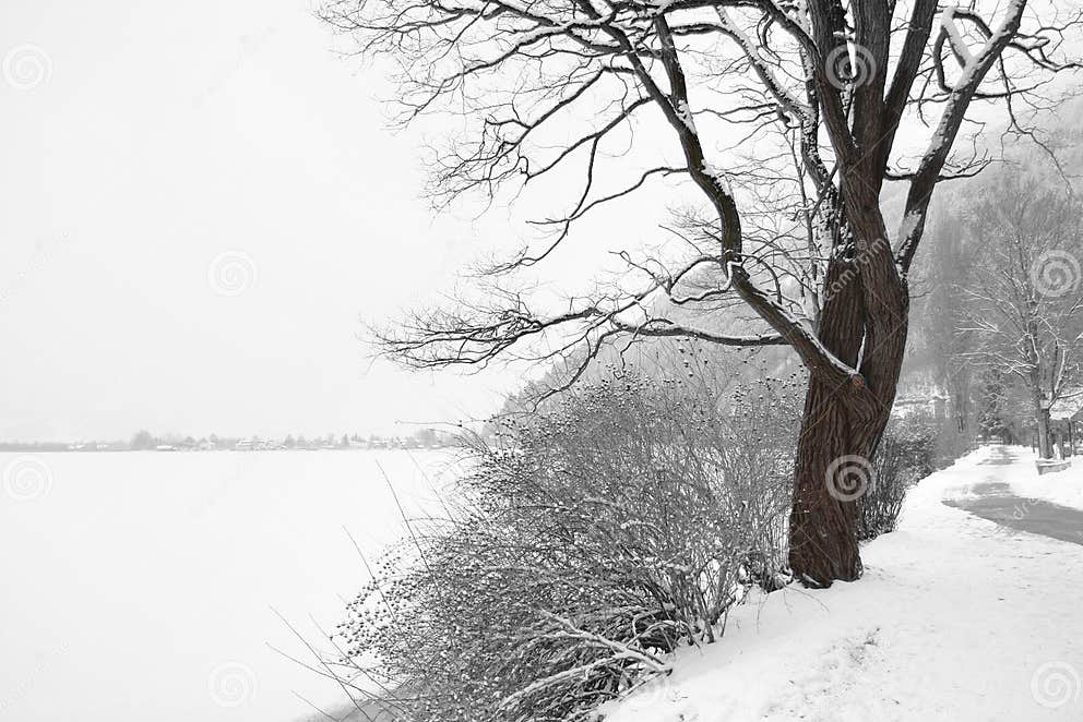 Scenic View of Path Around Lake Stock Image - Image of panoramic, path ...