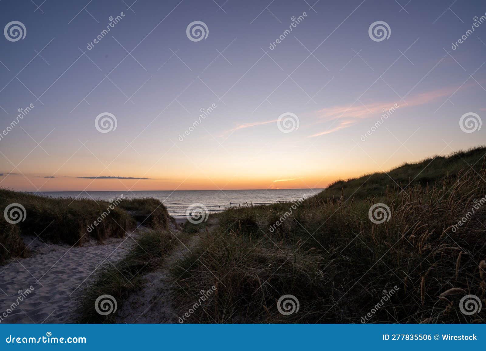 Scenic View of a Path through a Sandy Beach Covered with Greenery at ...