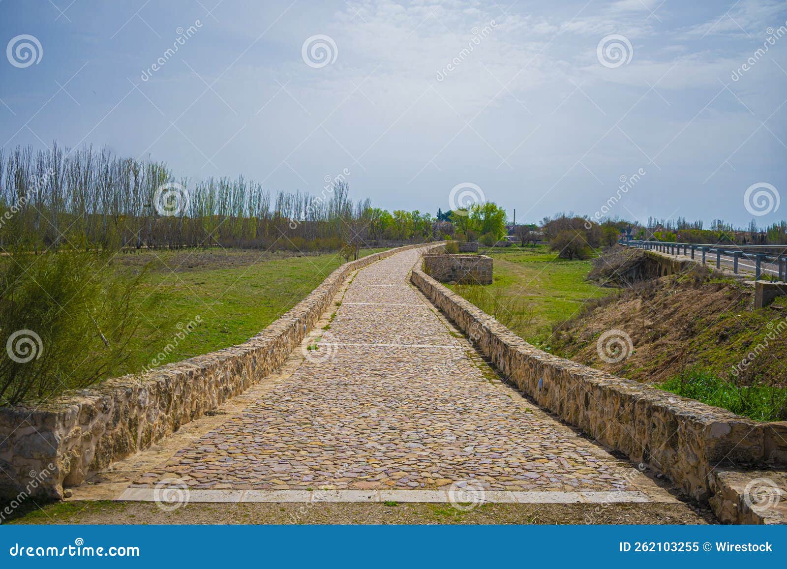 Scenic View of a Pavement Pathway in a Park Under a Clear Blue Sky ...