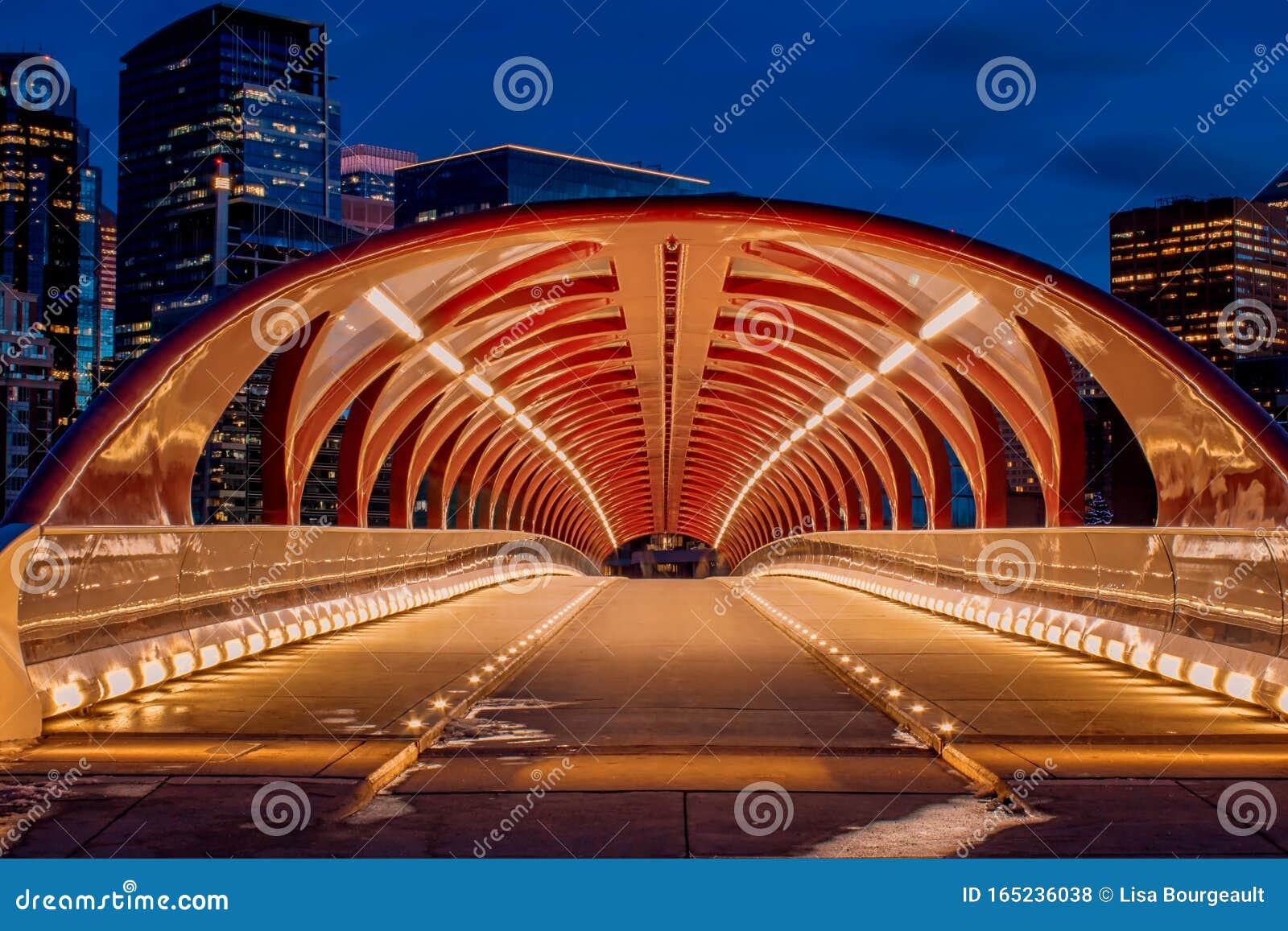 Peace Bridge Glowing at Night Editorial Stock Photo - Image of night ...