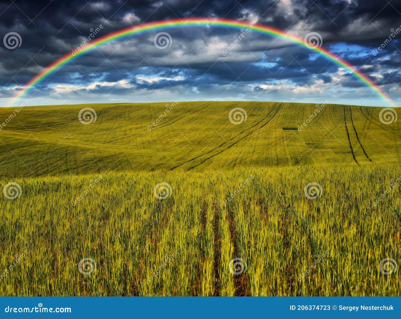 Scenic View of Rainbow Over Green Field Stock Image - Image of meadow ...
