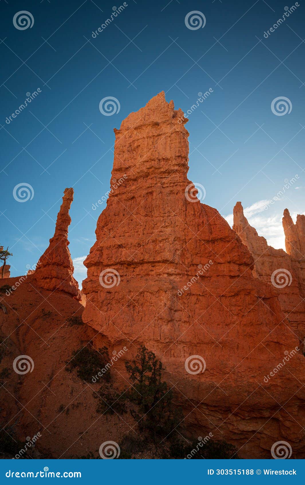 Scenic View of the Red Sandstone Formations and Trees at Bryce Point ...