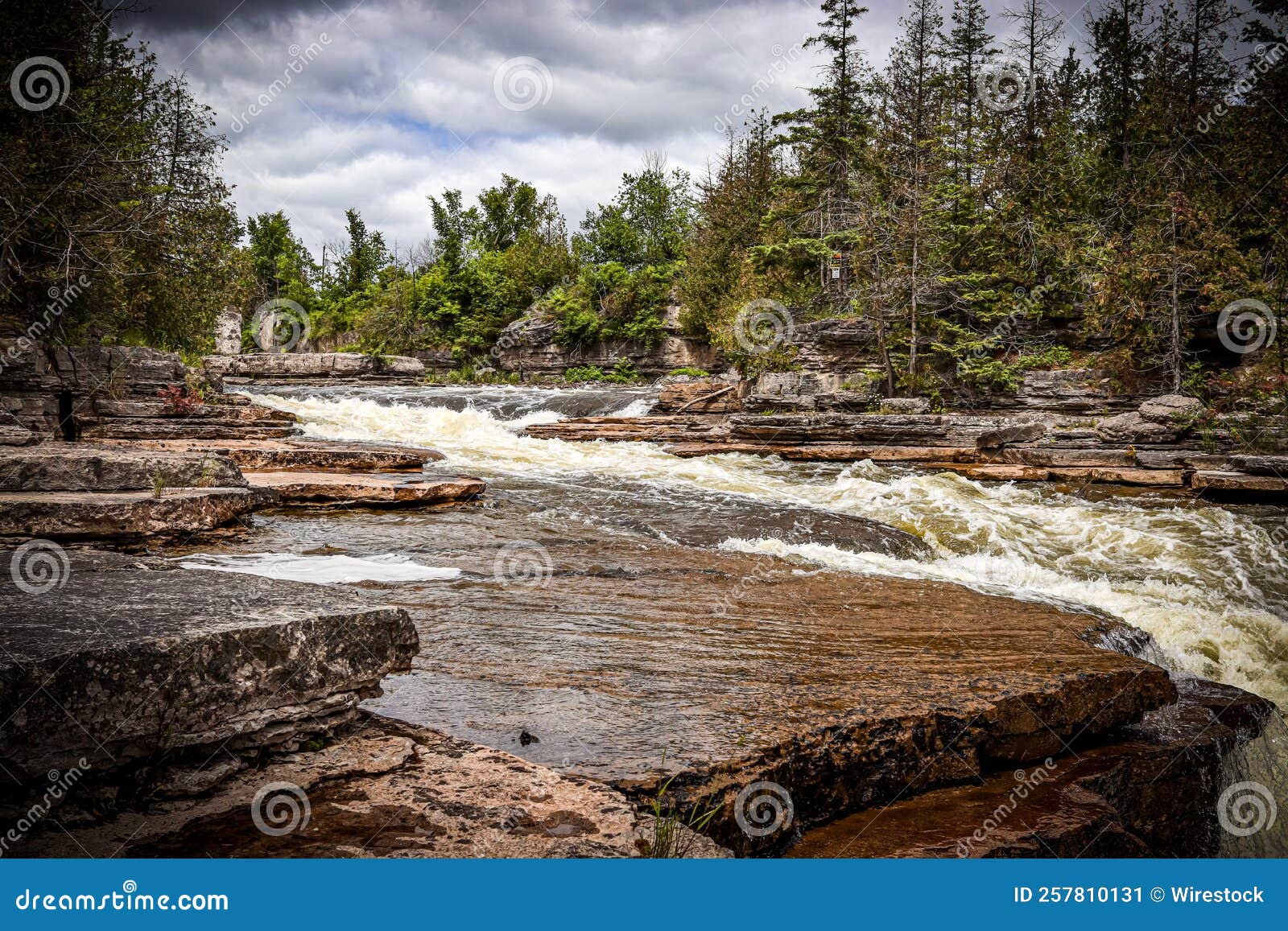 Scenic View of a River Flowing in a Forest Surrounded by Wild Nature in ...