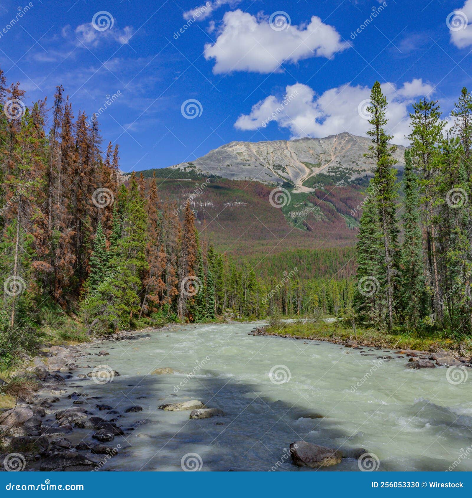 Scenic View of a River Passing through a Valley Surrounded by Mountains ...