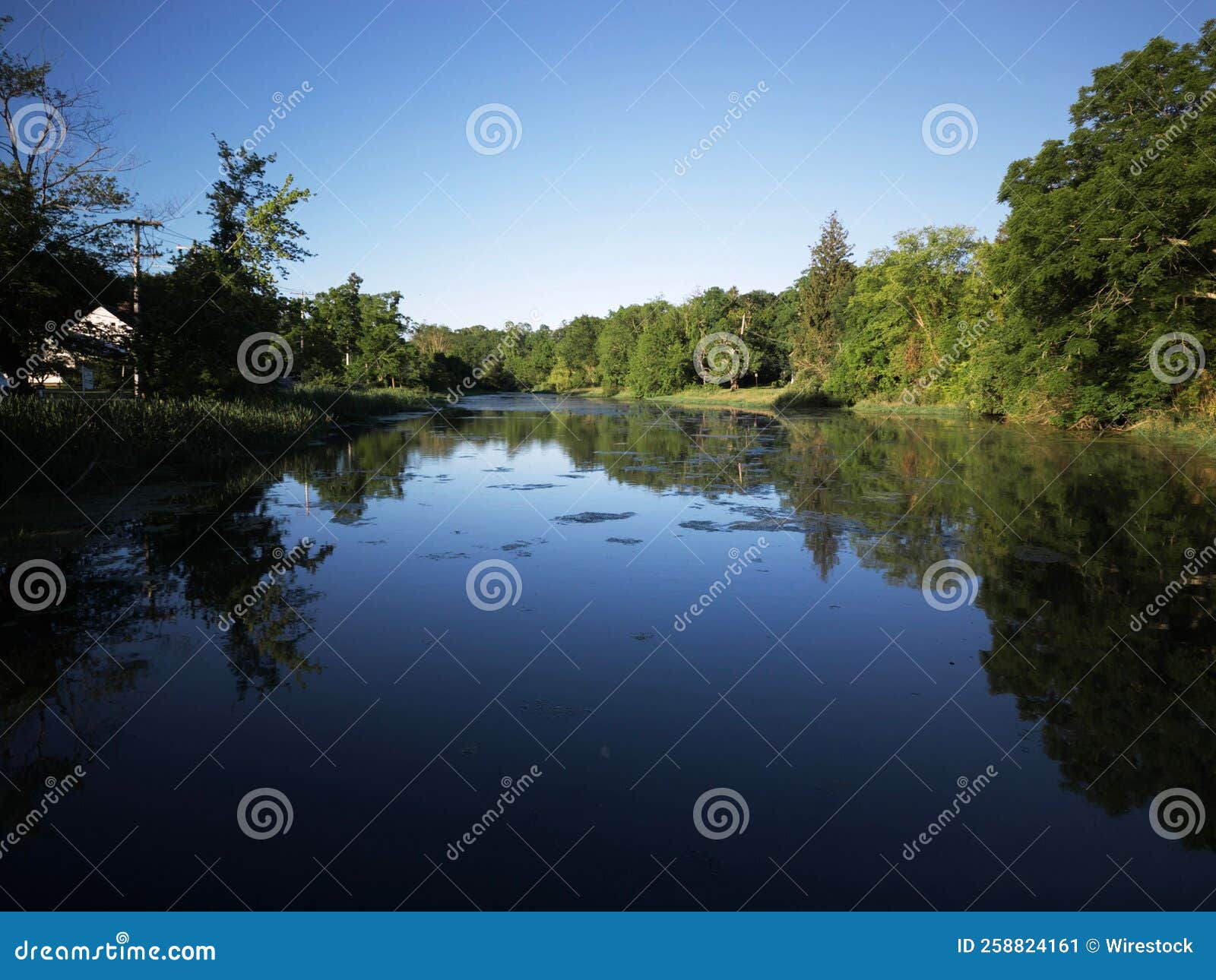 Scenic View of a River with the Reflection of Green Lush Trees and Sky ...