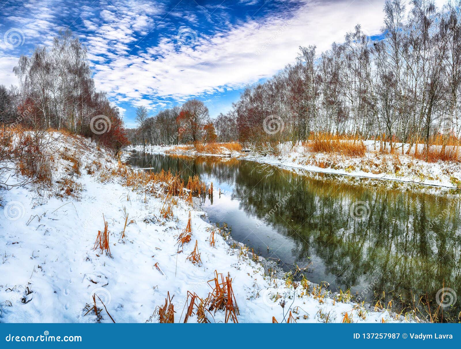 Scenic View of the River and Trees in Winter Stock Image - Image of ...