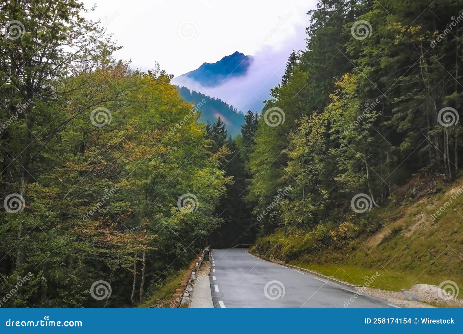 Scenic View of a Road Going through a Forest with Beautiful Mountains ...