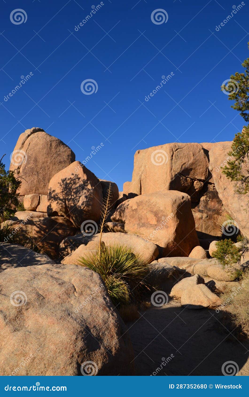 Scenic View of a Rocky Park with Trees and Shrubs Surrounding the Rocky ...