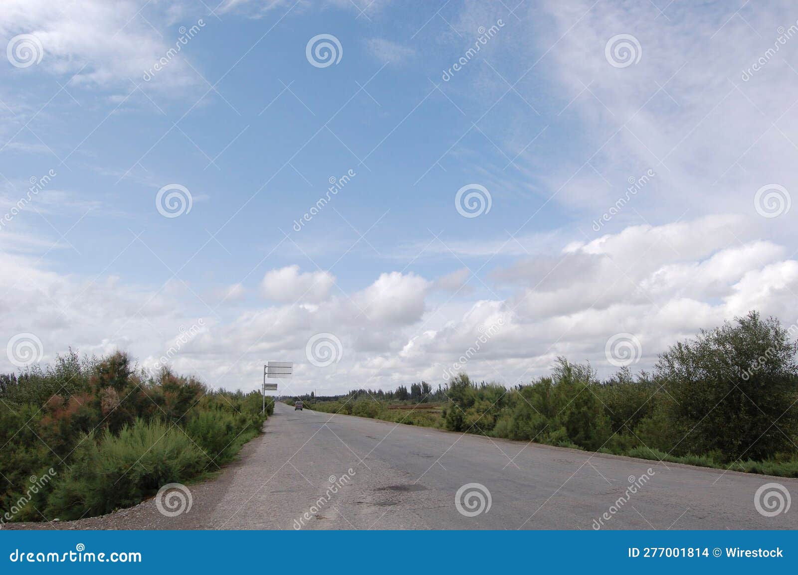 Scenic View of a Rural Road Lined with Trees, with an Open Grassy Field ...