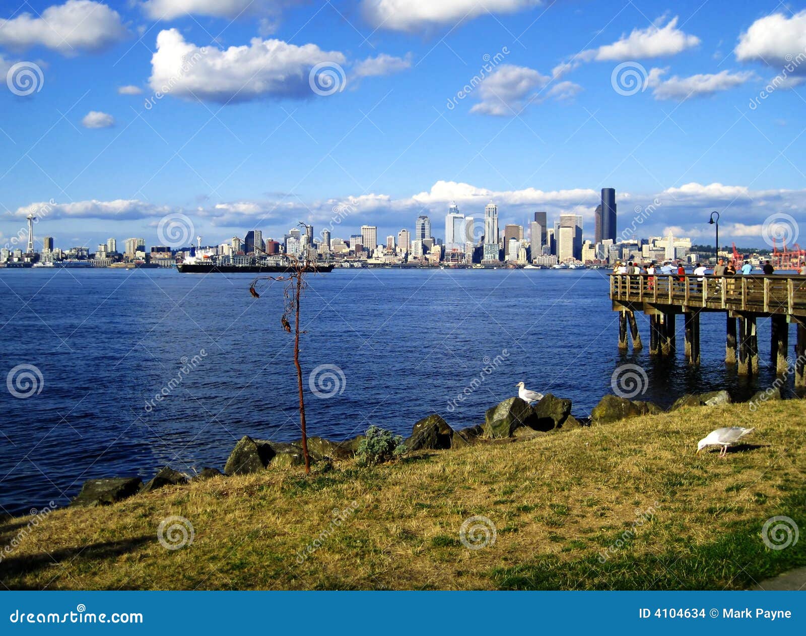 Scenic View of Seattle Skyline from Alki Stock Photo - Image of scenic ...