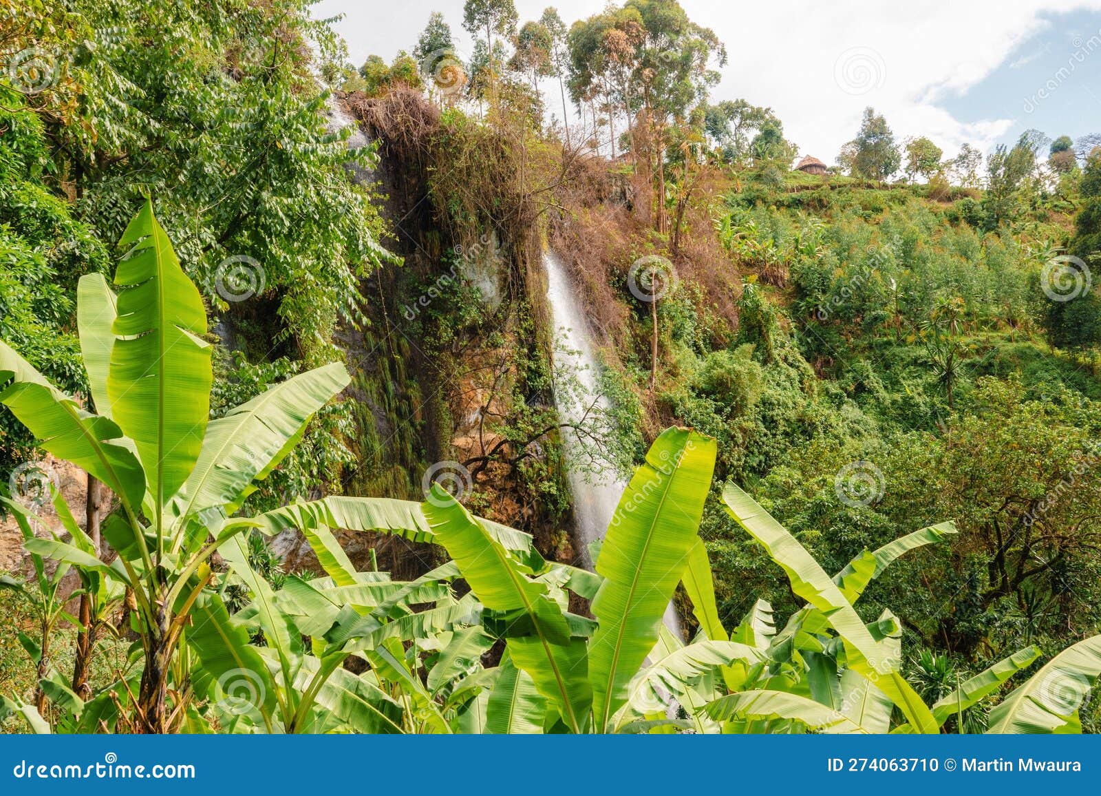 Scenic View of Sipi Waterfall in Mount Elgon, Mbale, Uganda Stock Photo ...