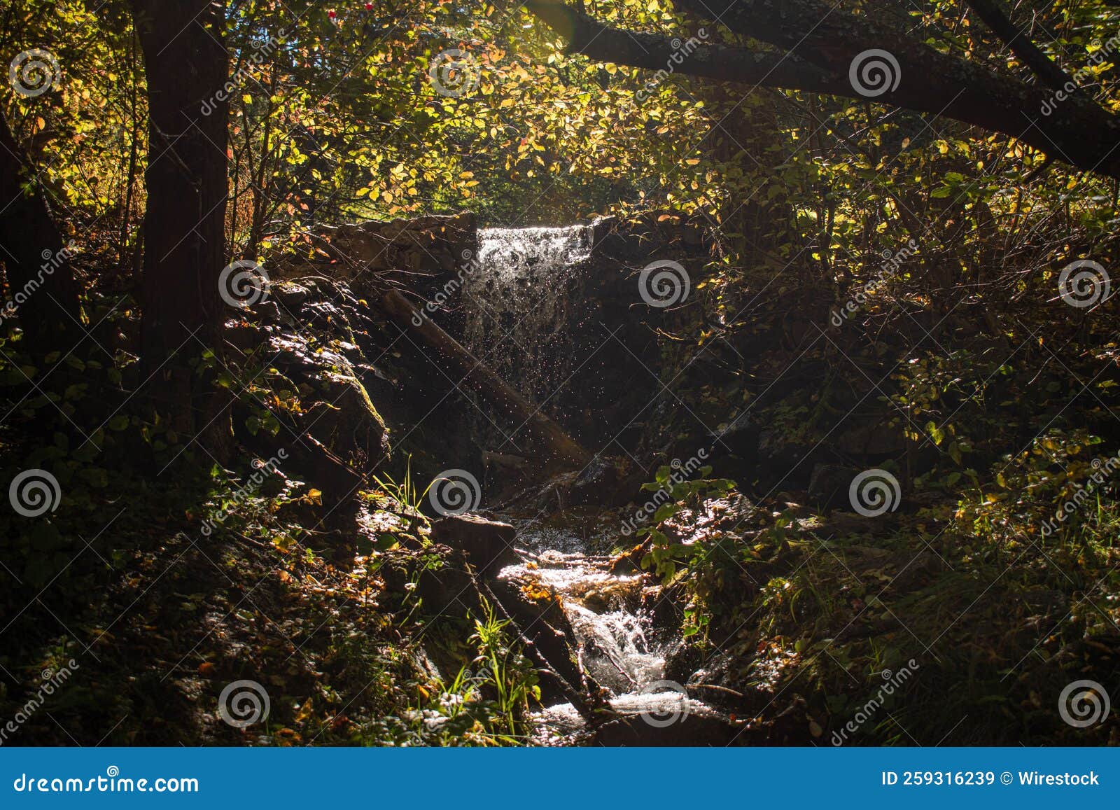 Scenic View of a Small Waterfall Stream Flowing Down a Small Cliff ...
