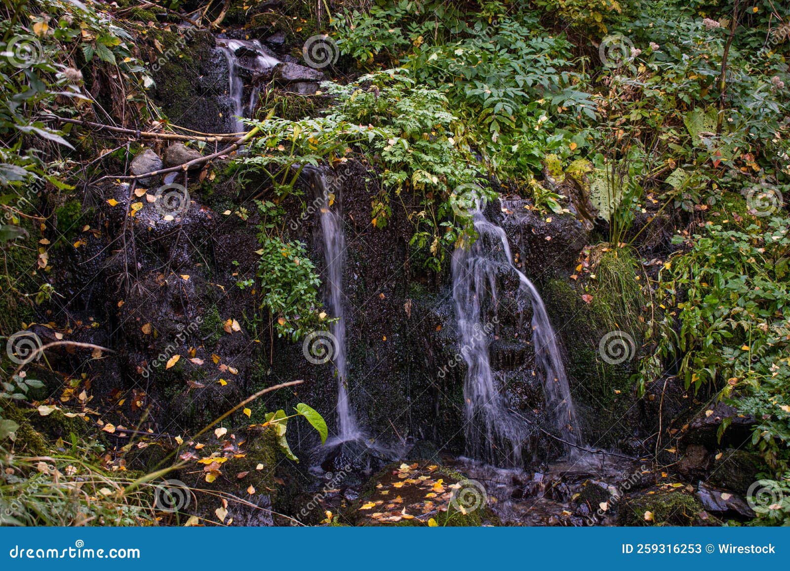 Scenic View of a Small Waterfall Stream Flowing Down a Small Cliff ...