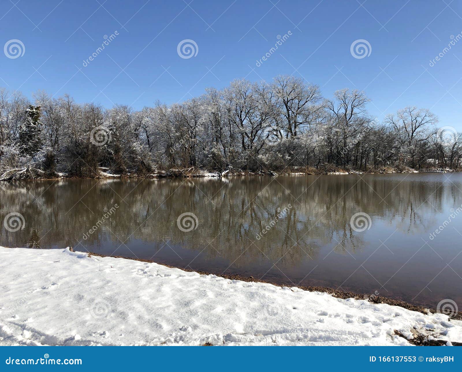 View of Snow beside a Pond with Reflections of Trees in Winter Stock ...