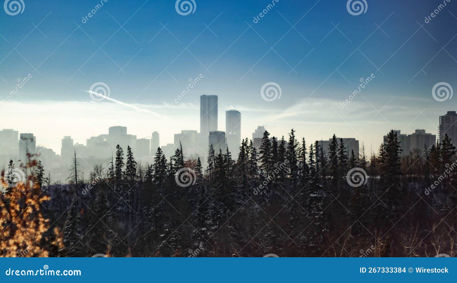 Scenic View of Snowy Forest with the Skyscrapers in the Background ...