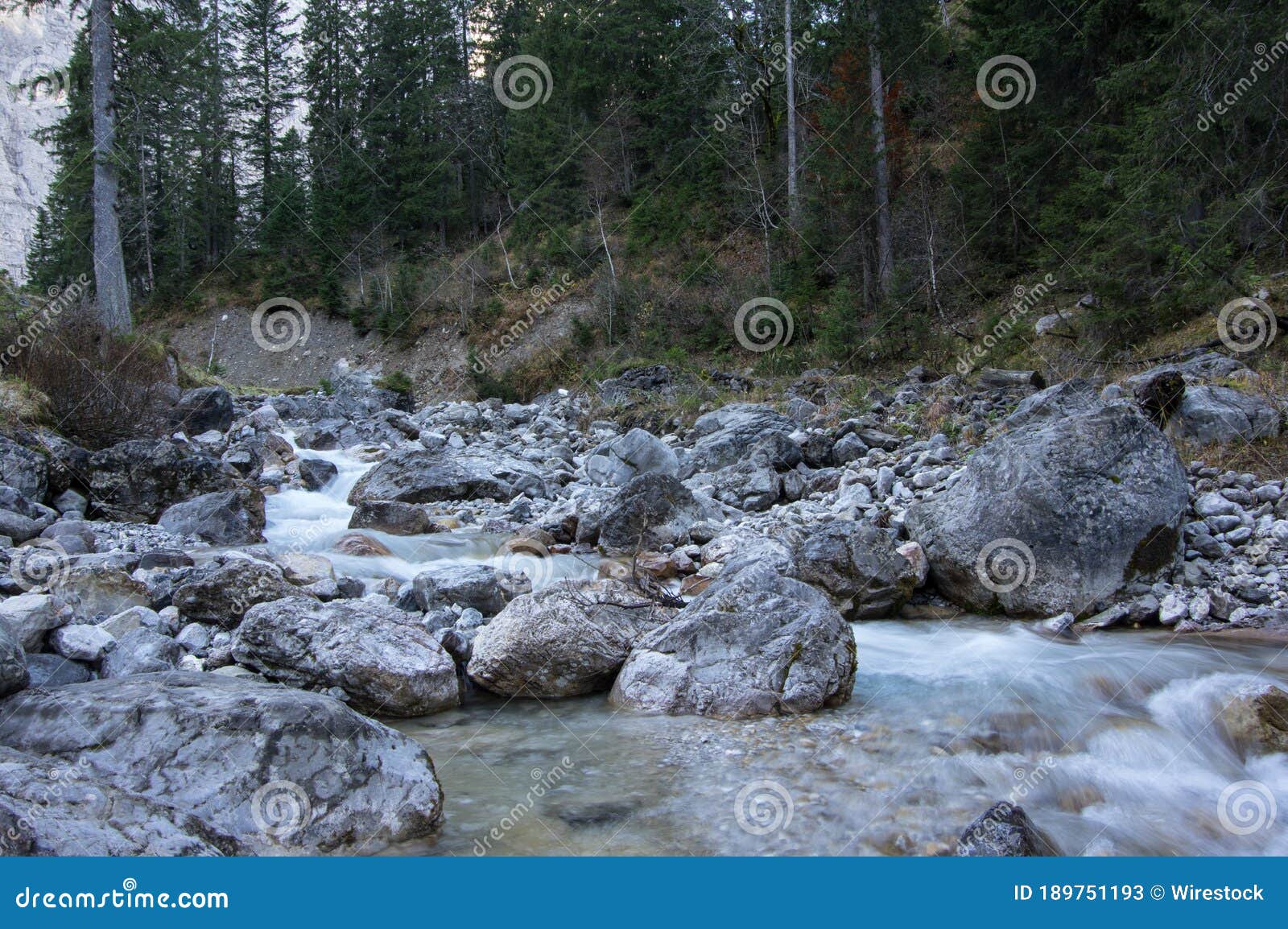 Scenic View of a Stream Flowing through Stones in the Forest - Perfect ...