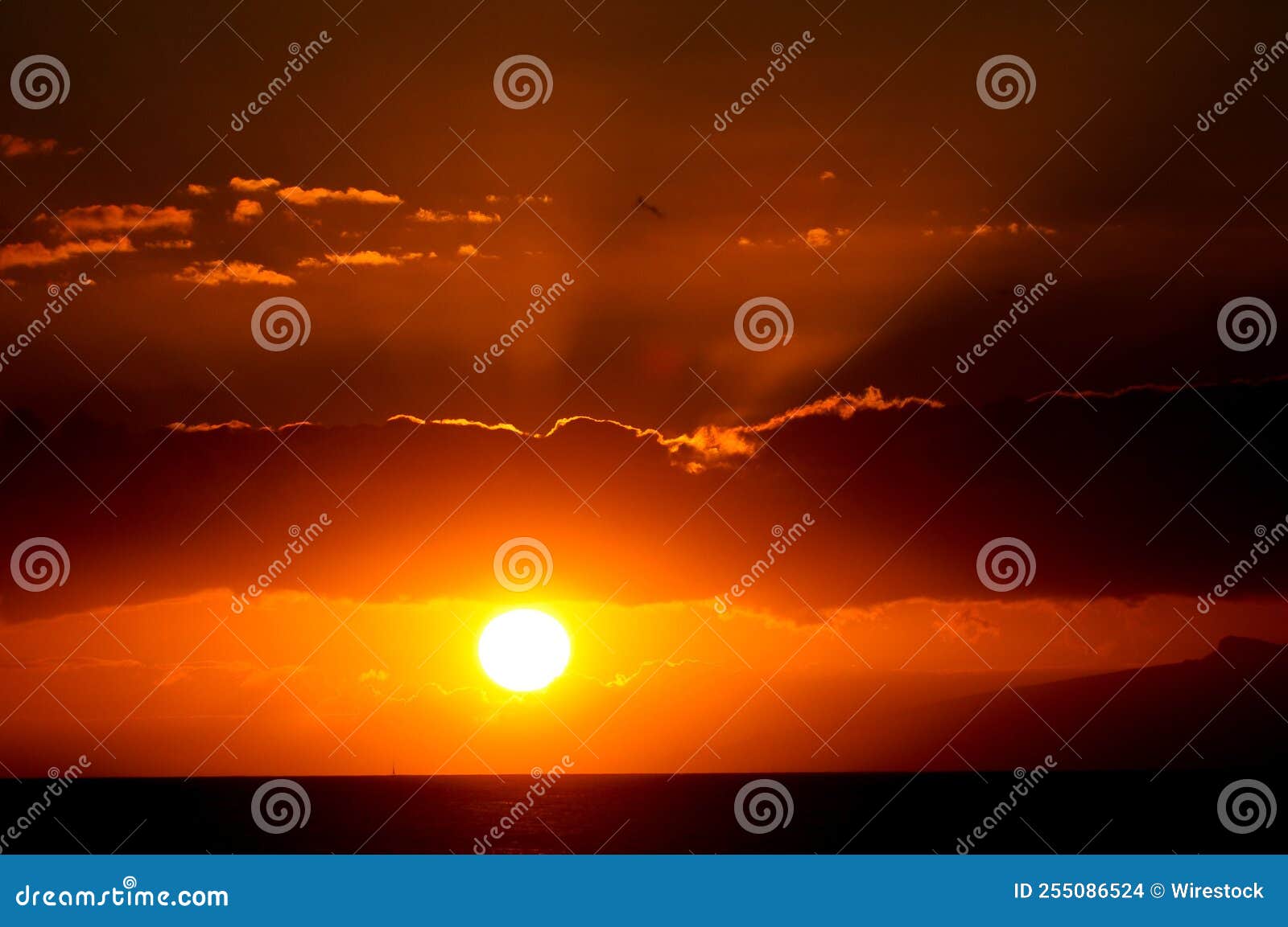Scenic View of the Sunset Over a Field Stock Photo - Image of sunlight ...