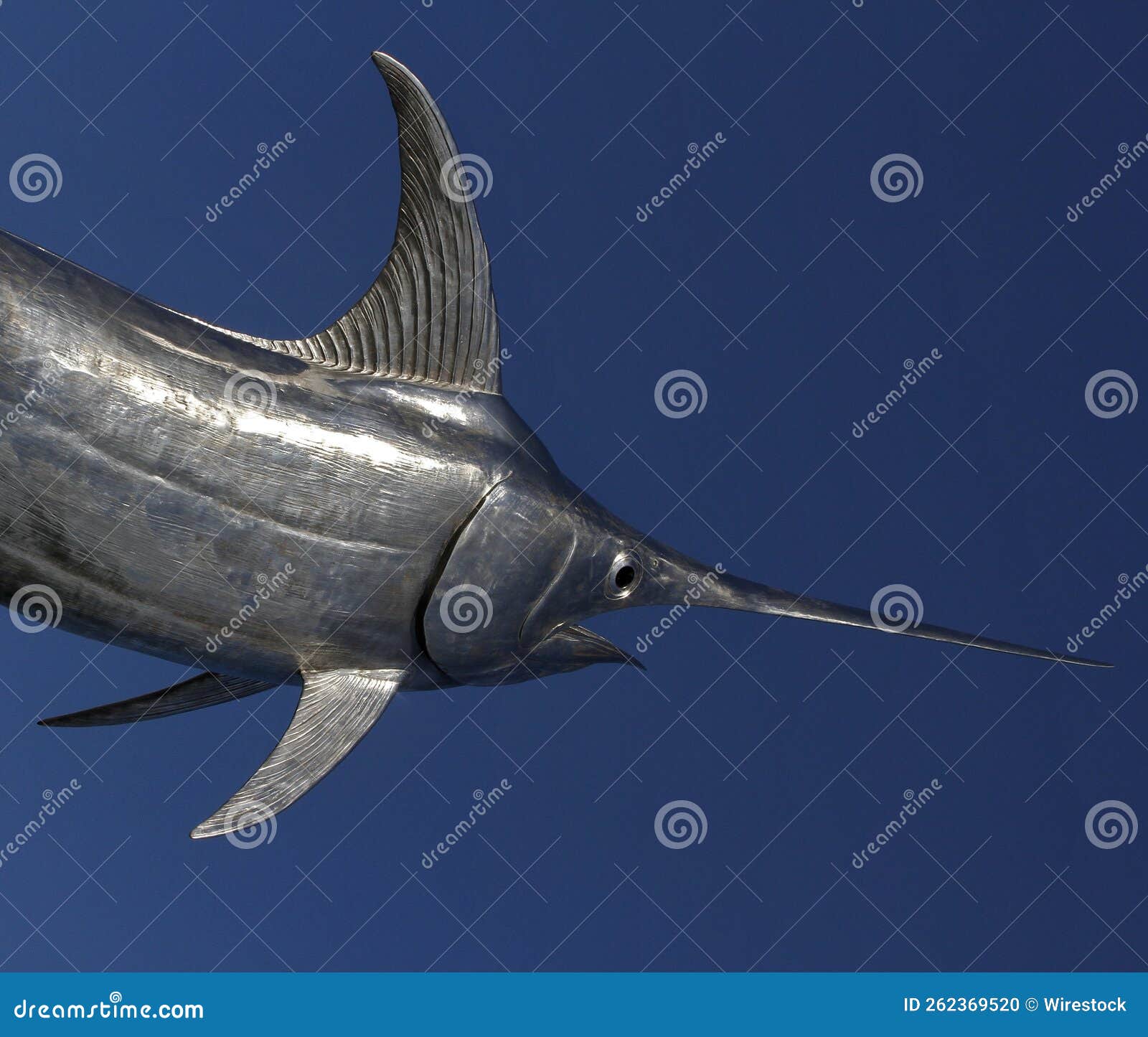 Scenic View of a Swordfish on a Blue Background Stock Photo - Image of ...