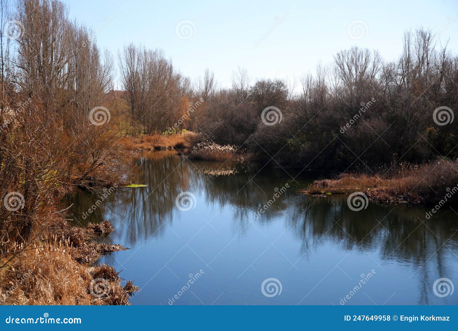 Scenic View of the Tormes River with Reflection of Plants and Trees ...