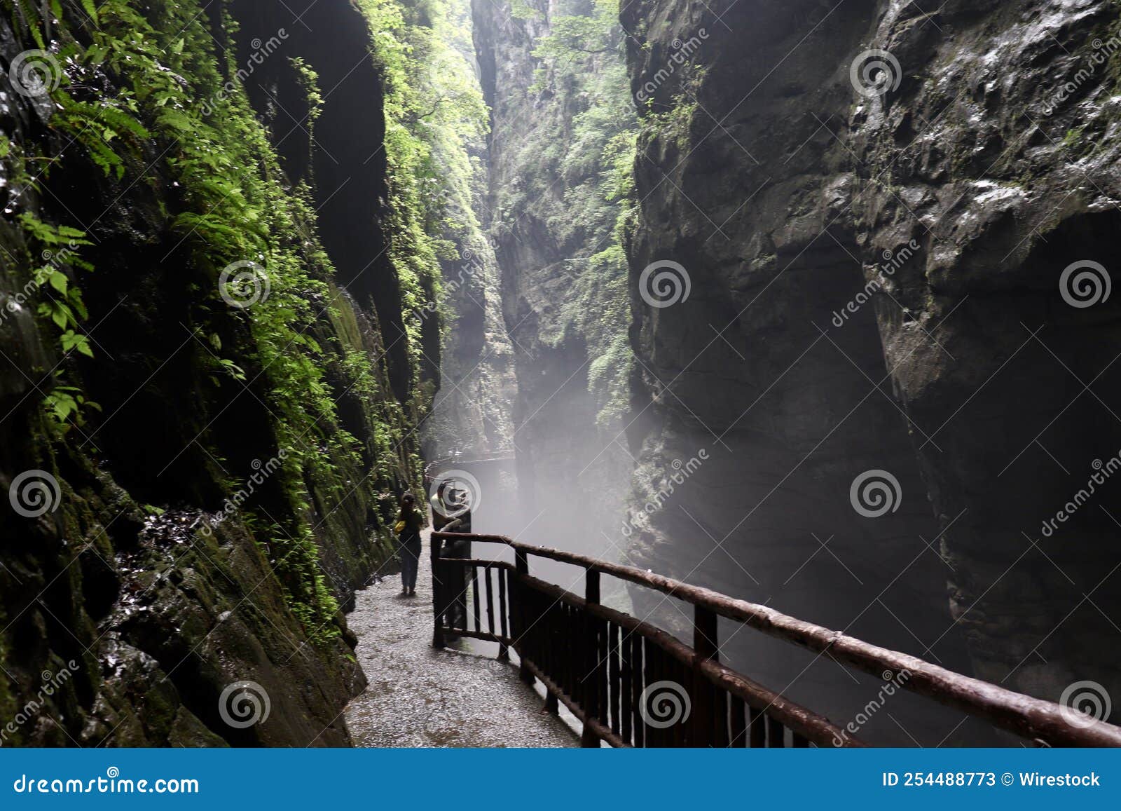 Scenic View of a Trail in the Middle of a Gorge Stock Image - Image of ...