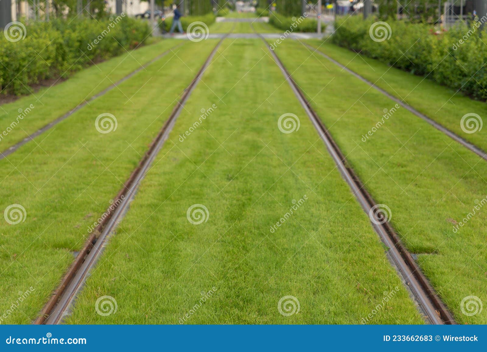 Scenic View of Tram Tracks Surrounded by Grass Stock Image - Image of ...
