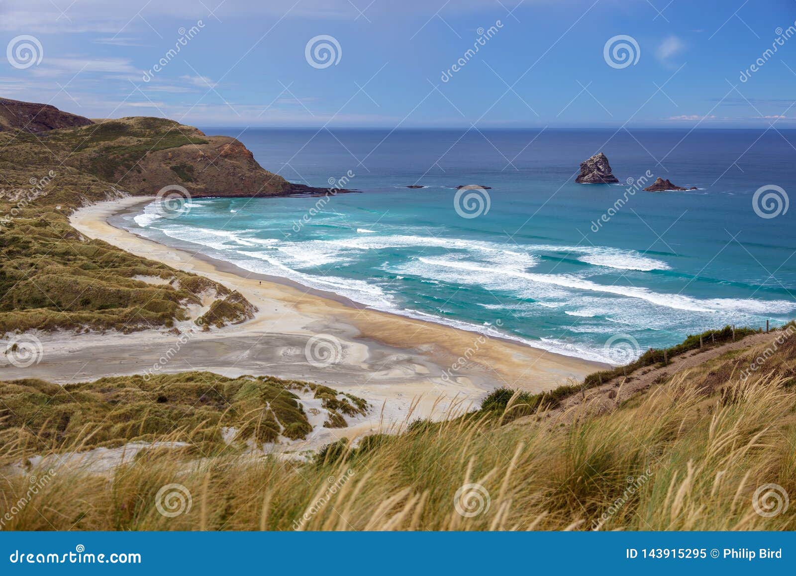 View of the Unspoilt Coastline at Sandfly Bay Stock Image - Image of ...