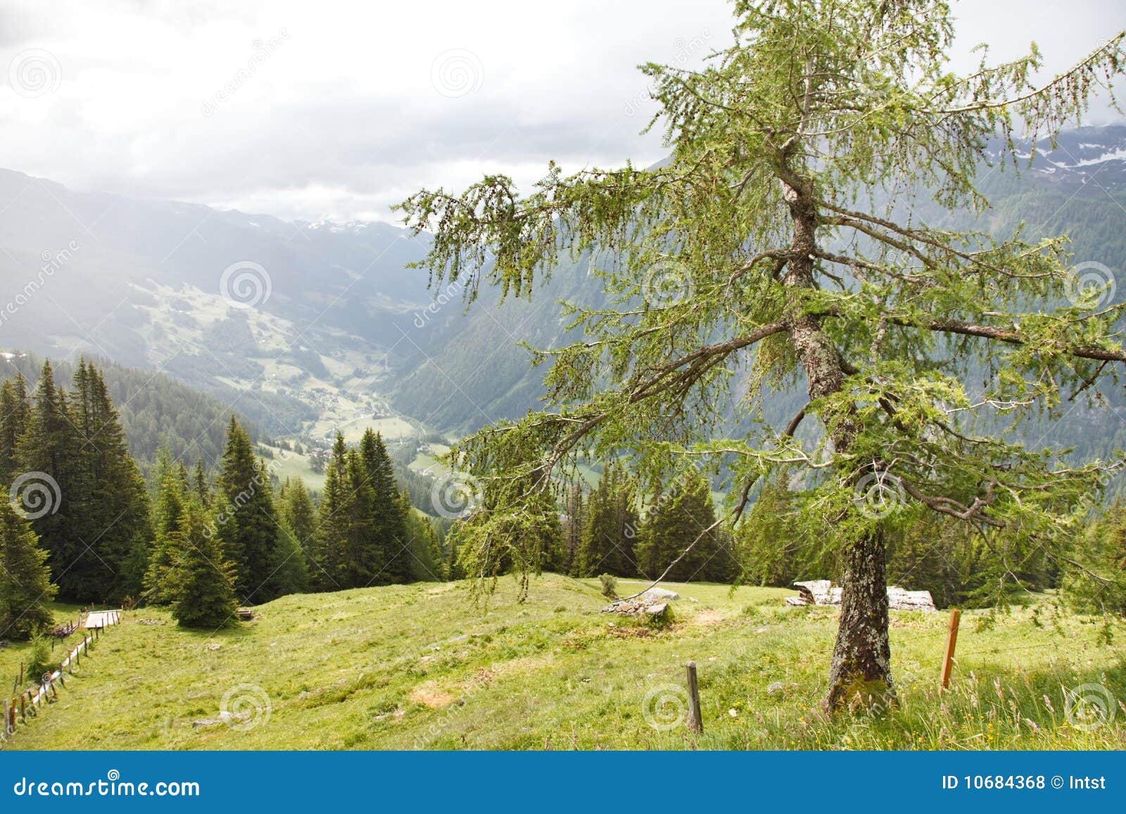 Scenic view on valley stock photo. Image of line, landscape - 10684368