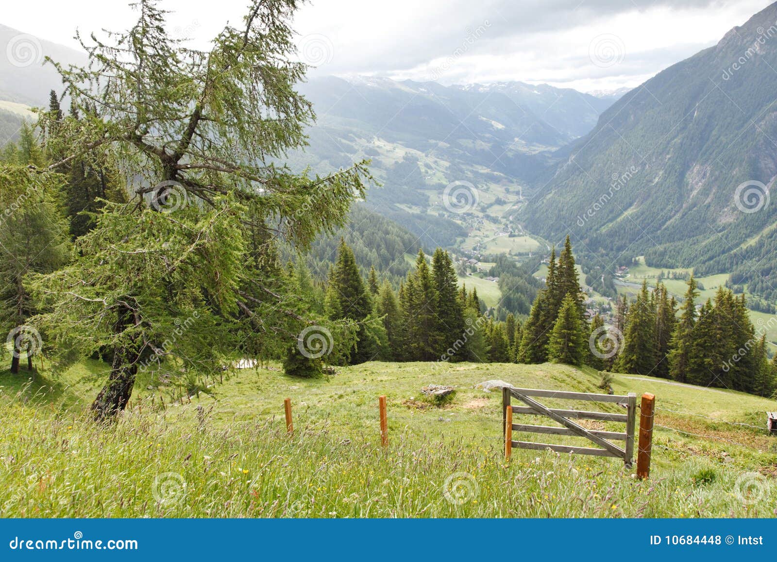 Scenic view on valley stock photo. Image of eastern, pasture - 10684448