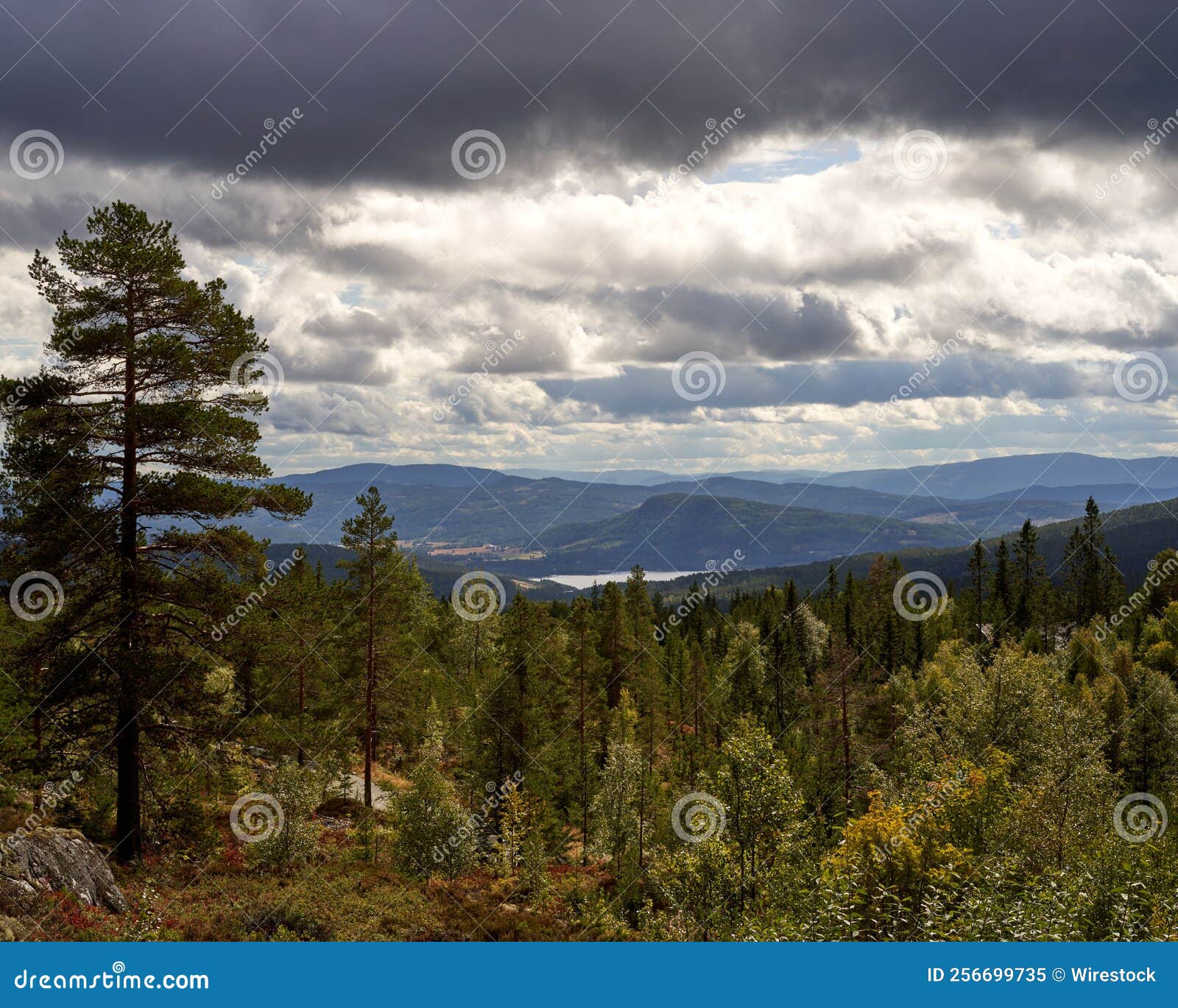 Scenic View of a Valley Surrounded by Mountains and Hills in the ...