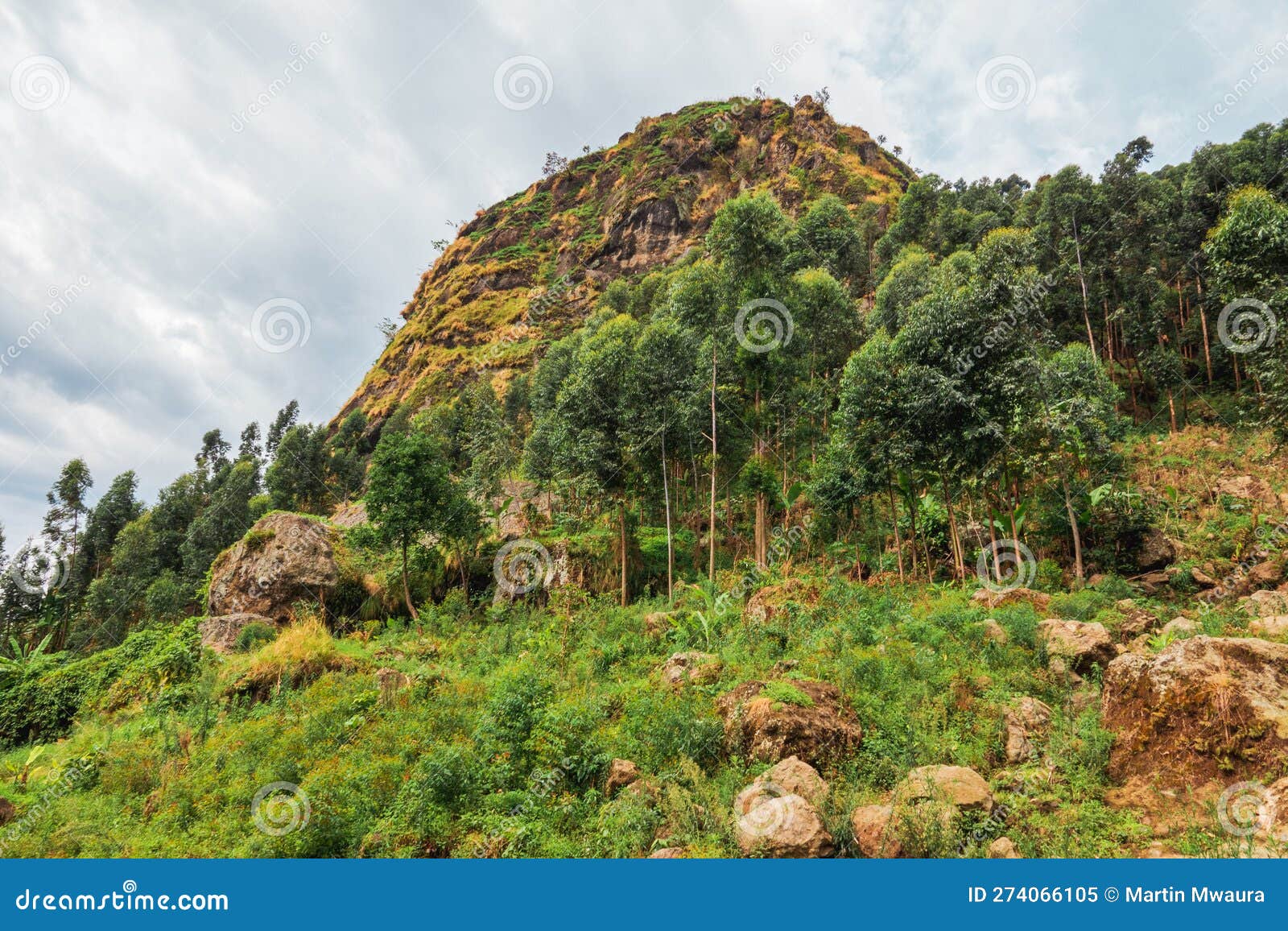 Scenic View of Wanale Hill in Mbale Town in Uganda Stock Image - Image ...