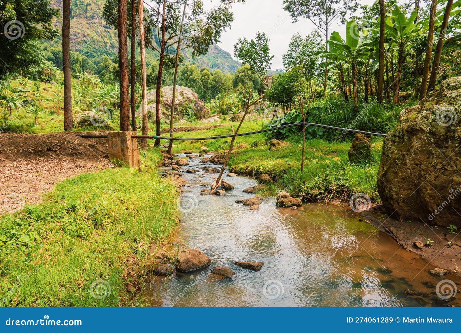 Scenic View of Wanale River in Wanale Hill in Mbale Town, Uganda Stock ...