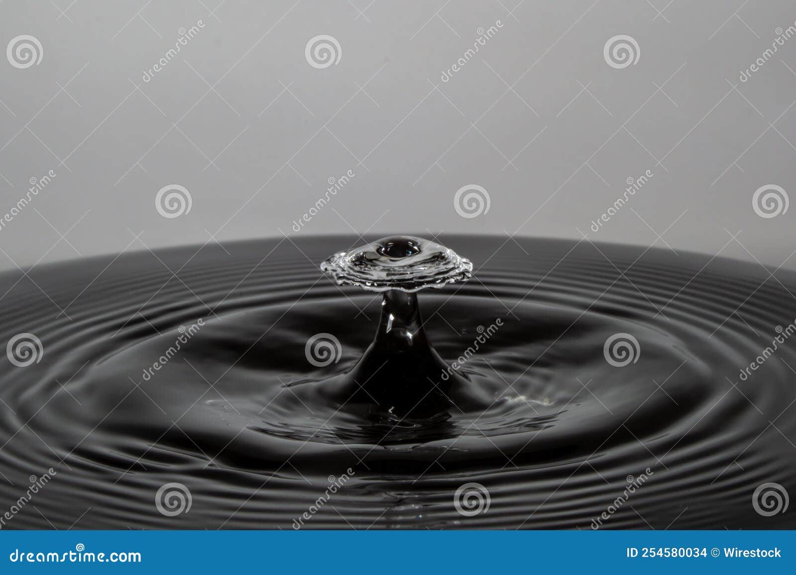 Scenic View of a Water Splash in Grayscale Stock Photo - Image of macro ...