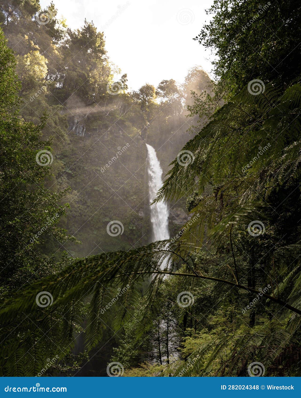 Scenic View of a Waterfall Cascading Down the Green Cliff in a Forest ...