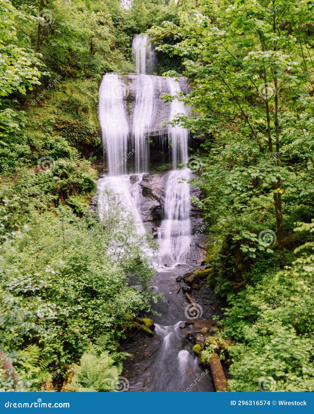 Scenic View of a Waterfall in a Dark Green Forest Stock Photo - Image ...