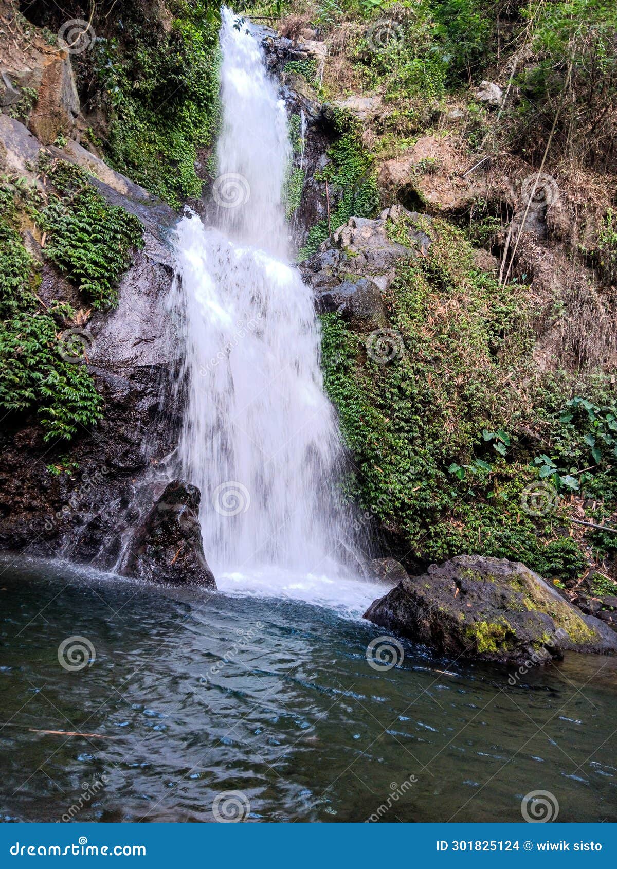 Remote Waterfall in the Middle of the Jungle Stock Photo - Image of ...