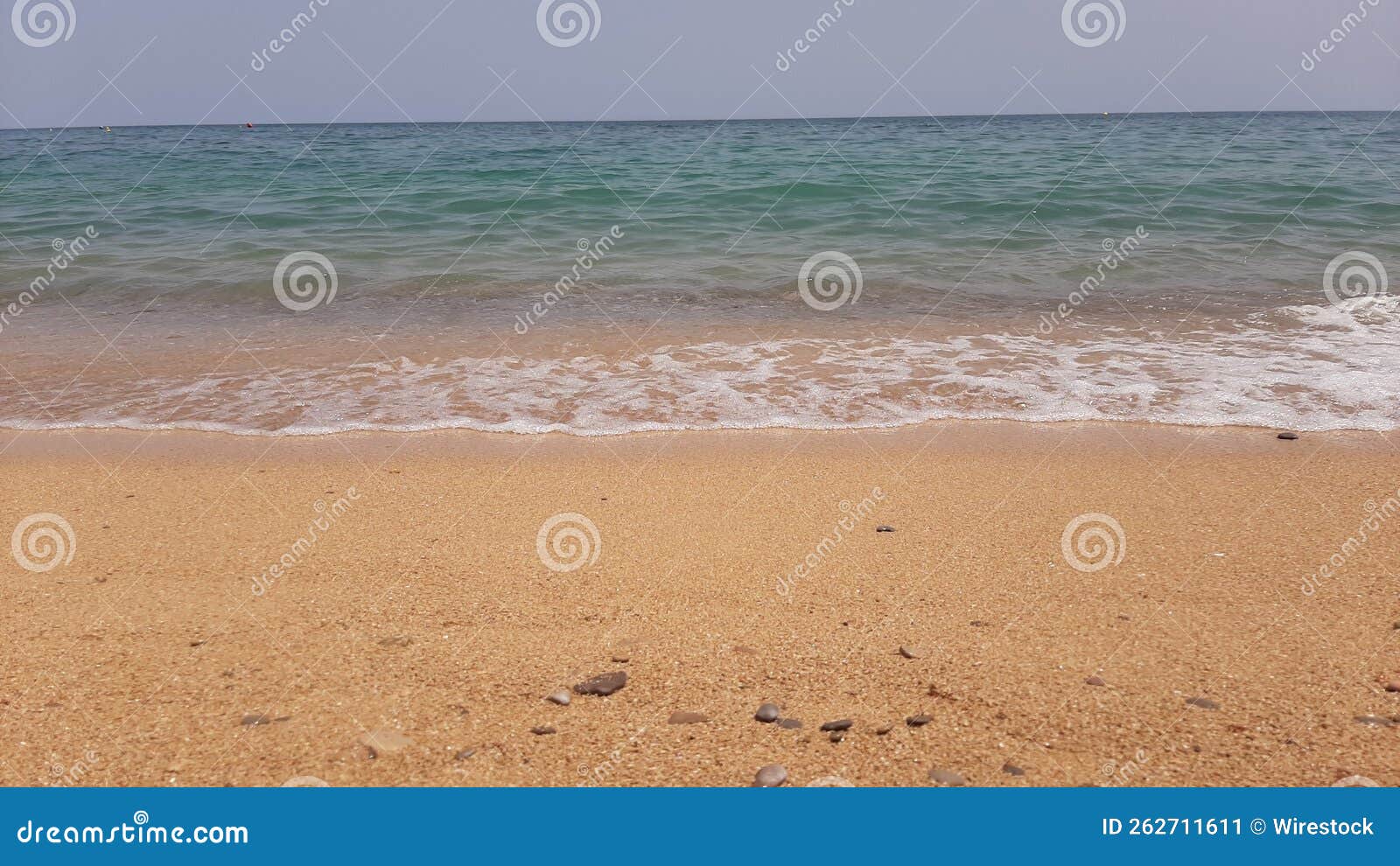 Scenic View of Wave Bubbles on the Shore Stock Image - Image of ...