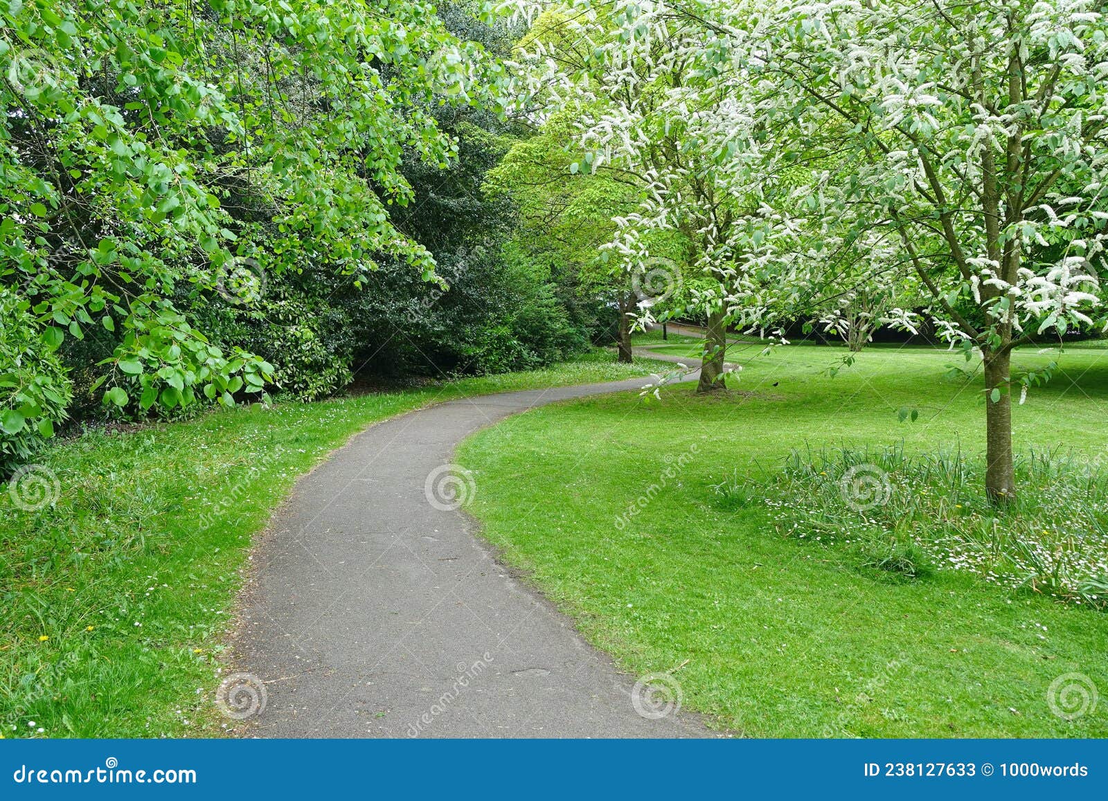 Winding Garden Path stock image. Image of background - 238127633