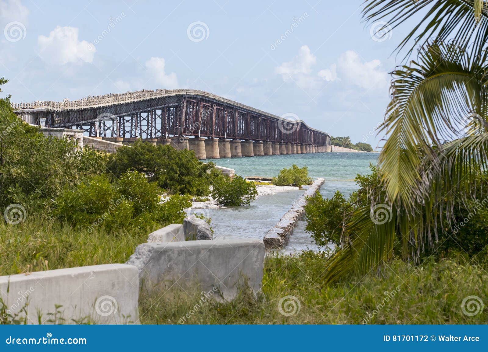 Scenic Views of the Florida Keys Stock Photo - Image of outdoors ...
