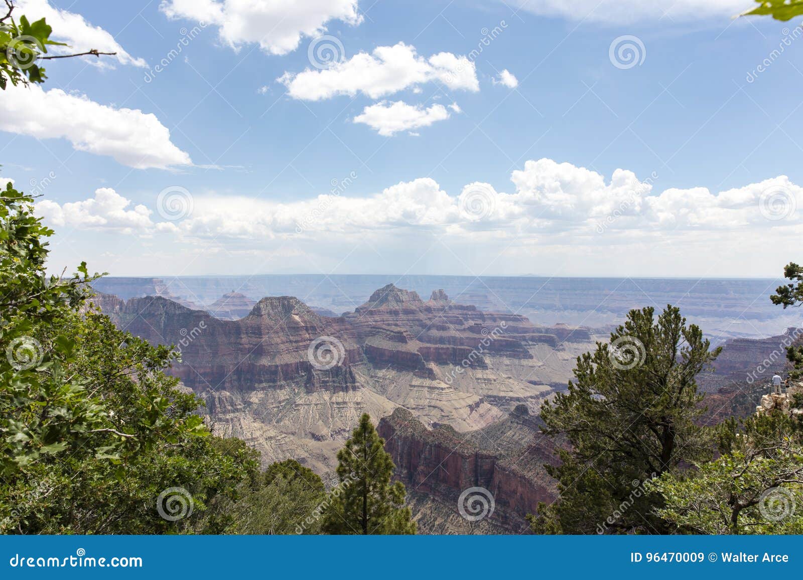 Scenic Views of the Grand Canyon North Rim Editorial Stock Image ...