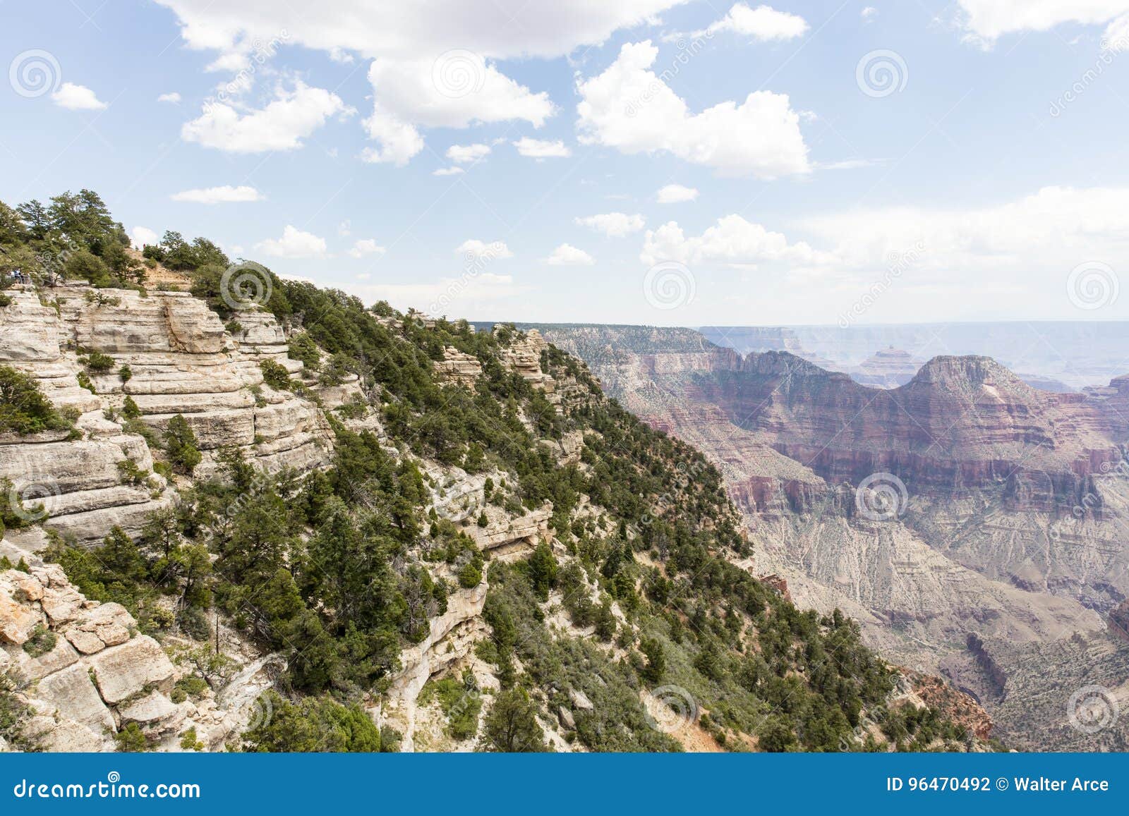 Scenic Views of the Grand Canyon North Rim Stock Photo - Image of ...