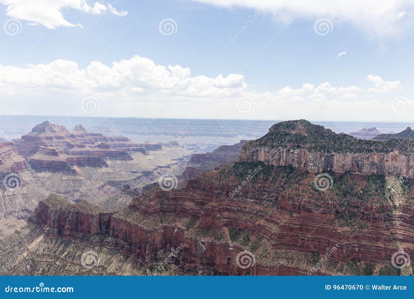 Scenic Views of the Grand Canyon North Rim Stock Photo - Image of ...